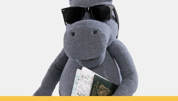 Compare Insurance Quotes & Save On Your Insurance Premiums | Hippo