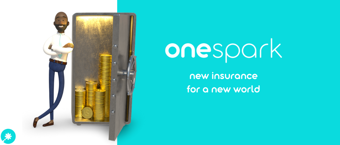 OneSpark | Insurance | hippo.co.za